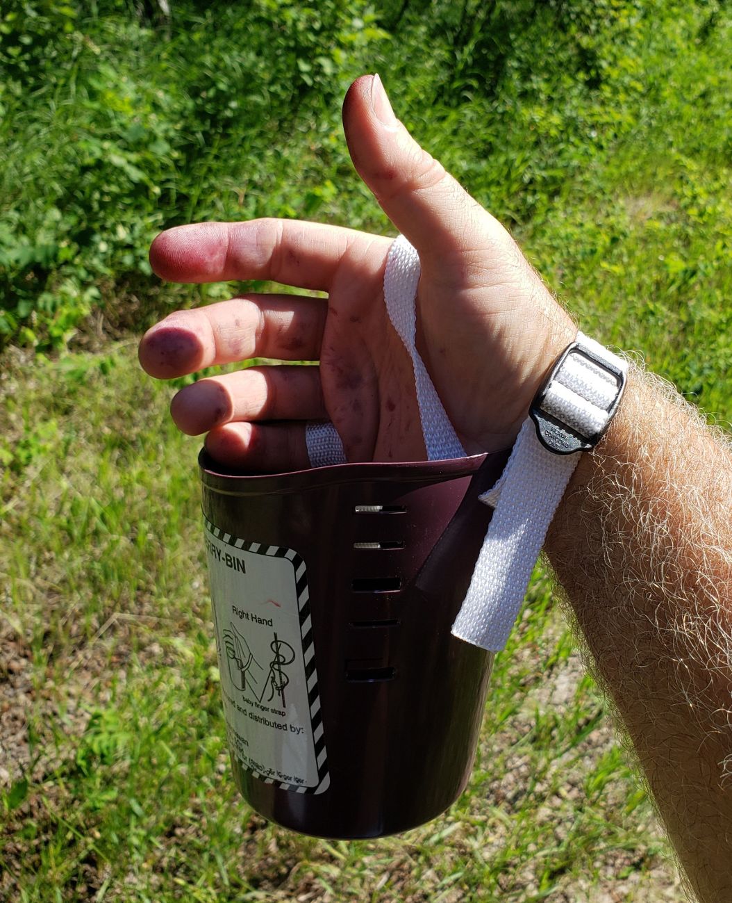 Quicker Berry Picker